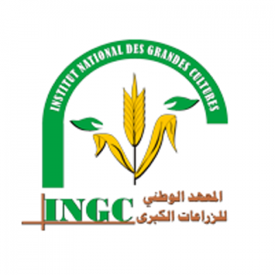Tunisie-Emploi : Institut National des Grandes Cultures recrute ...