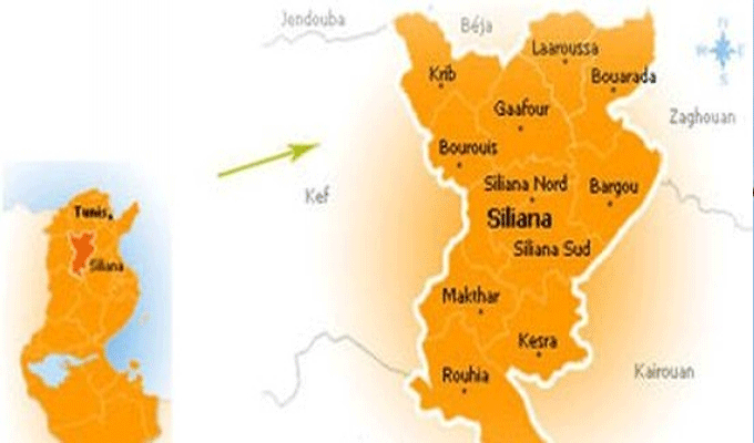 Siliana : Avancement des projets de développement programmés depuis ...