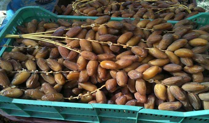 Tunisie: Vente de dattes de qualité supérieure à 7dinars le kg | Directinfo