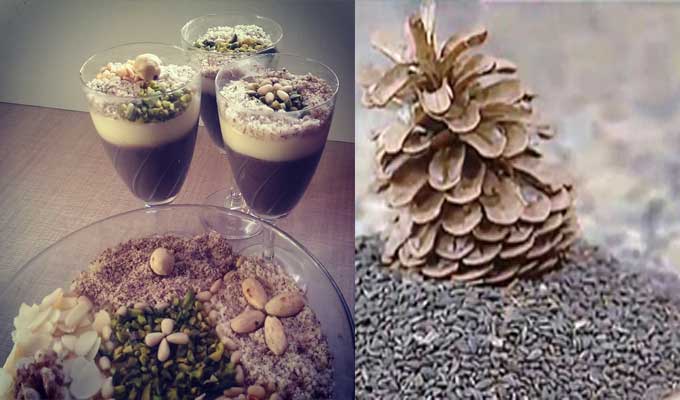 Les tunisiens partagés entre le boycott et l’achat du " Zgougou " dont ...