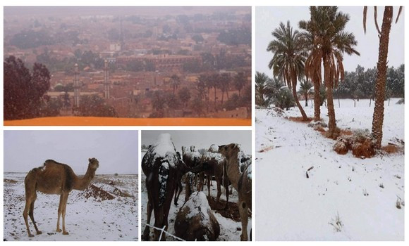 Algérie: Chutes de neige dans plusieurs régions du sud du pays (phtotos ...