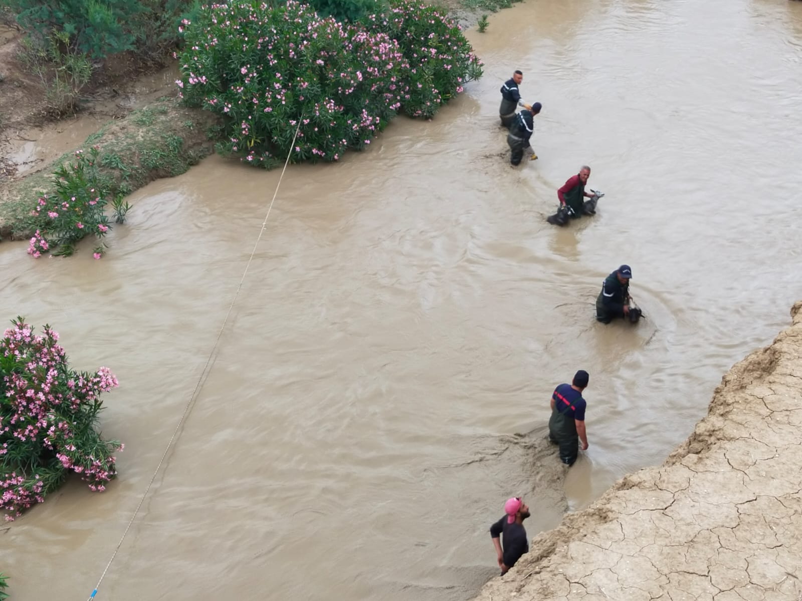 Crue Oued Medjerda : 3 bergers et 42 têtes d’ovins secourus (photos ...