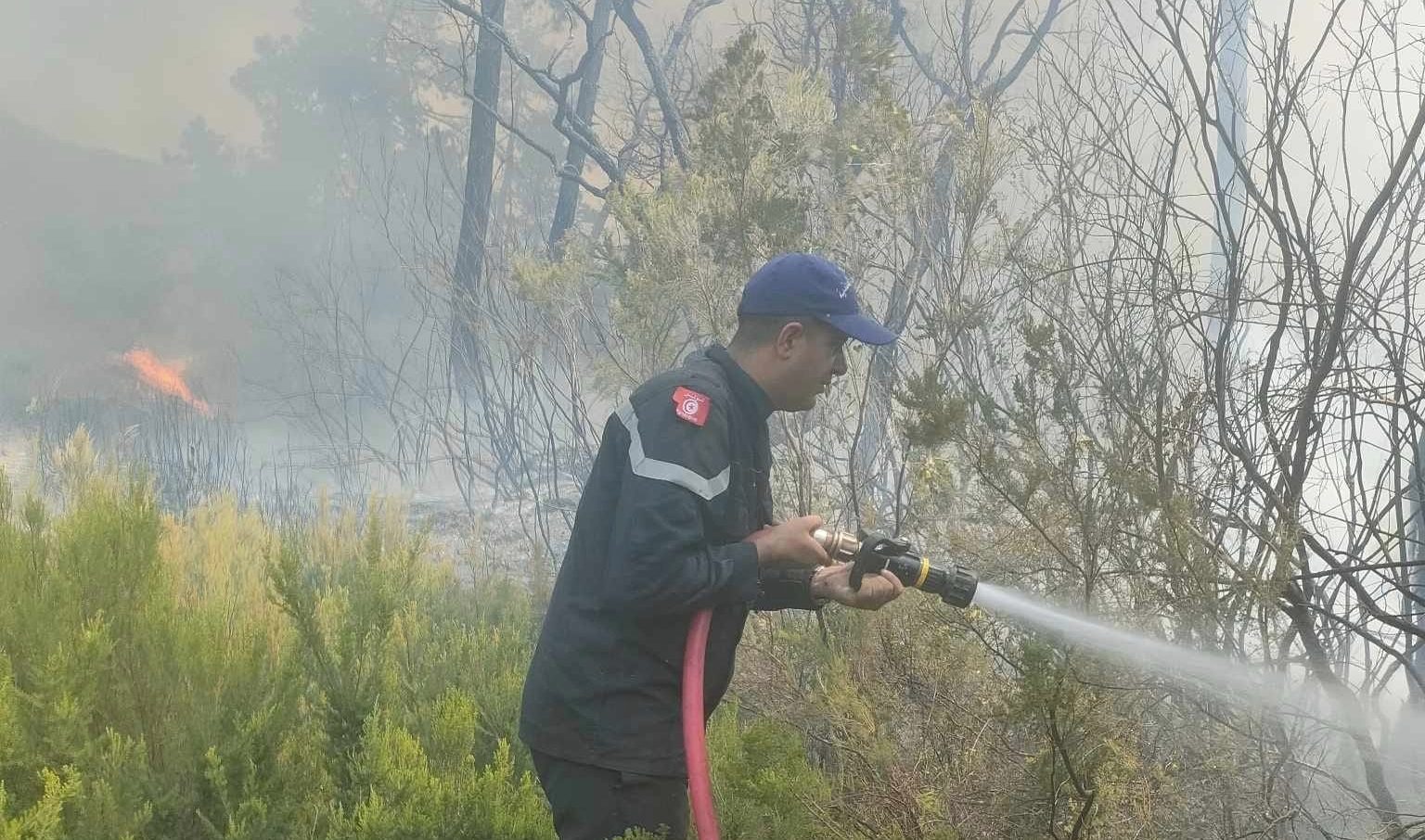 Bizerte : L’incendie de la forêt Remel maitrisé