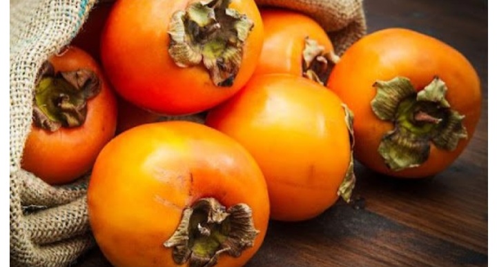 Béja : la mouche des fruits détruit un tiers de la récolte de kakis à ...