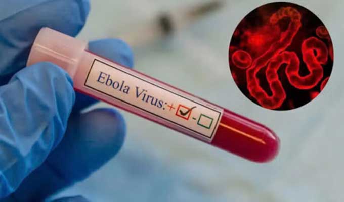 Ebola au Brésil : deux patients placés en isolement par précaution ...
