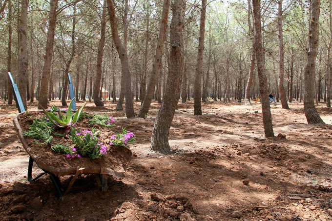 Tunisie: Forêt urbaine d'El Agba, ou quand Tunis renforce l’esprit de ...