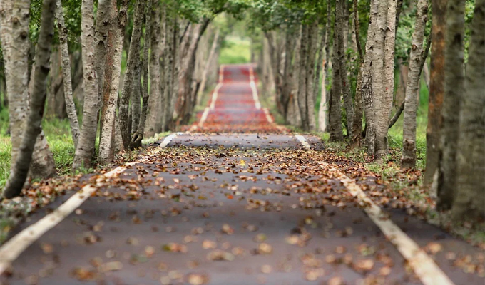 L’automne 2021 dans le top 10 des saisons d’automne les plus chaudes ...