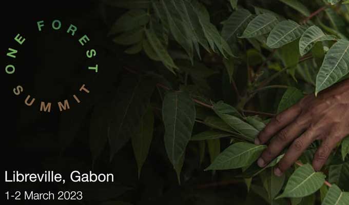 Le Gabon abrite le "One Forest Summit", les 1er et 2 mars 2023 - WMC