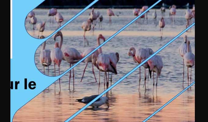 Sfax : Workshop sur "le tourisme durable et écotourisme dans les ...